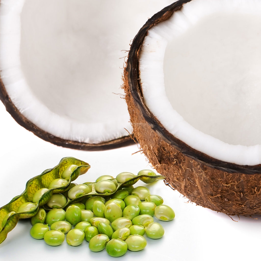 Productos – La famosa